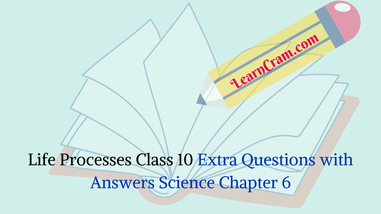 Life Processes Class 10 Extra Questions with Answers Science Chapter 6 ...