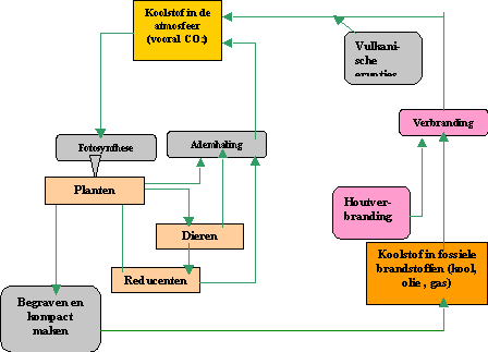 KOOLZUUR | Tsjok's blog