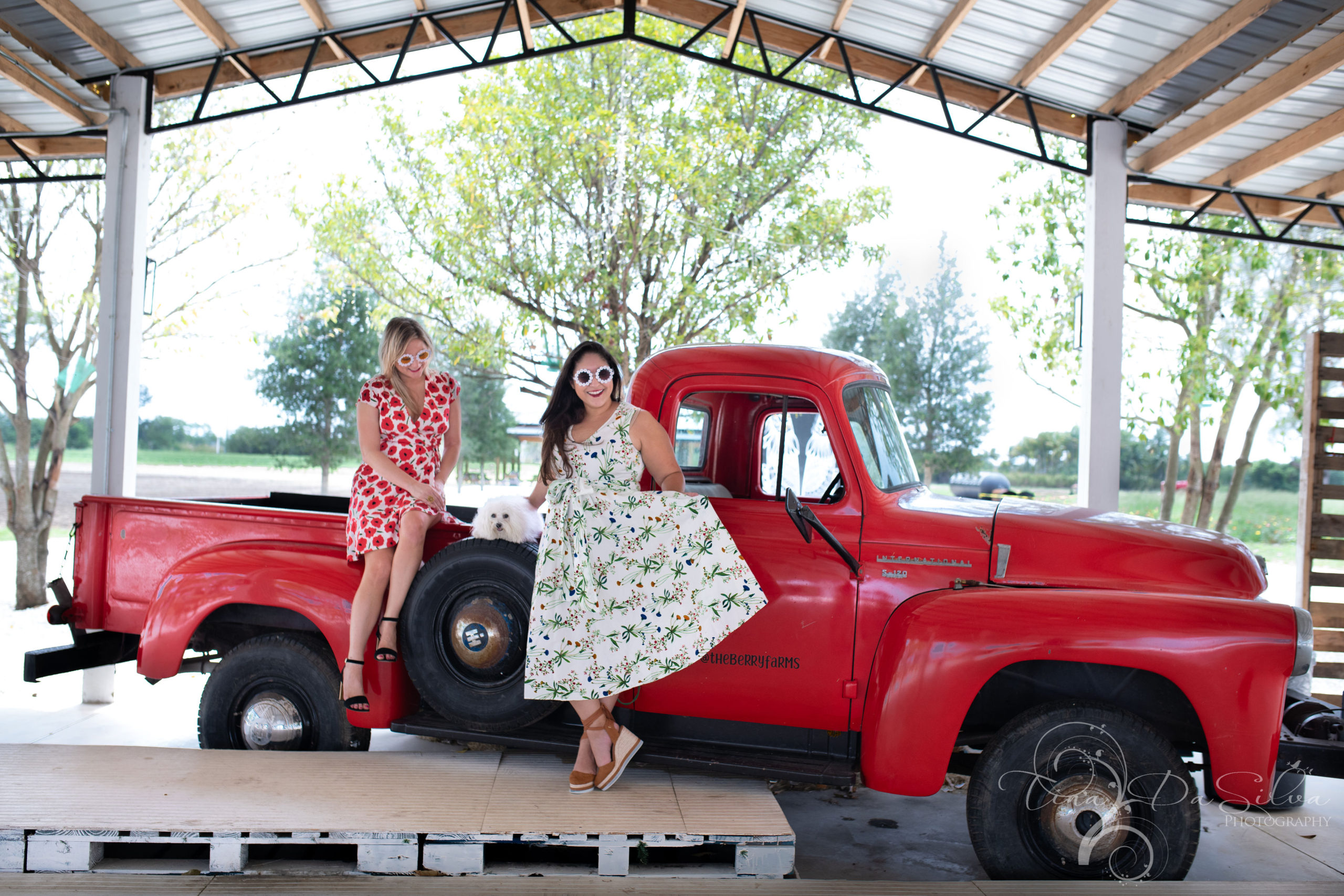 Why you must see Homestead’s Hidden Gem – The Berry Farm - Living A ...