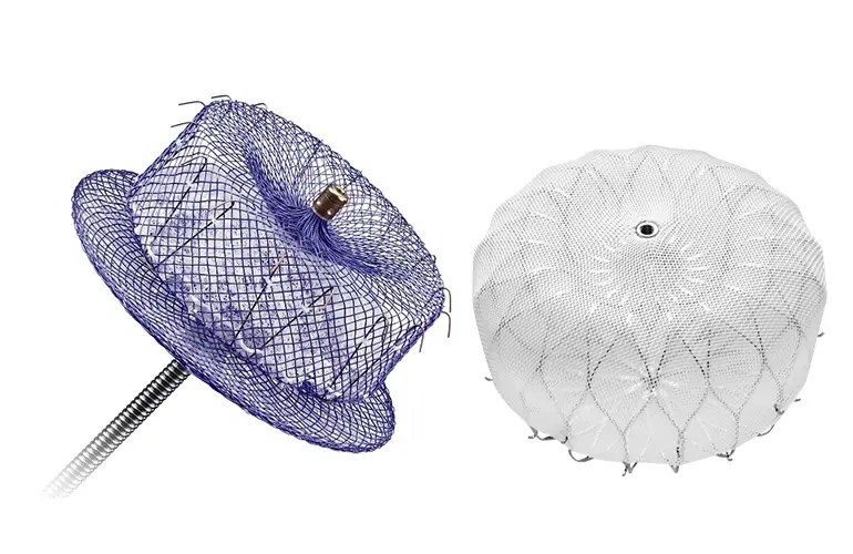 Abbott says study supports Amplatzer Amulet vs Watchman FLX ...