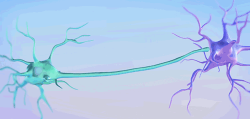 Animated GIFs – Mesa Information Illustration