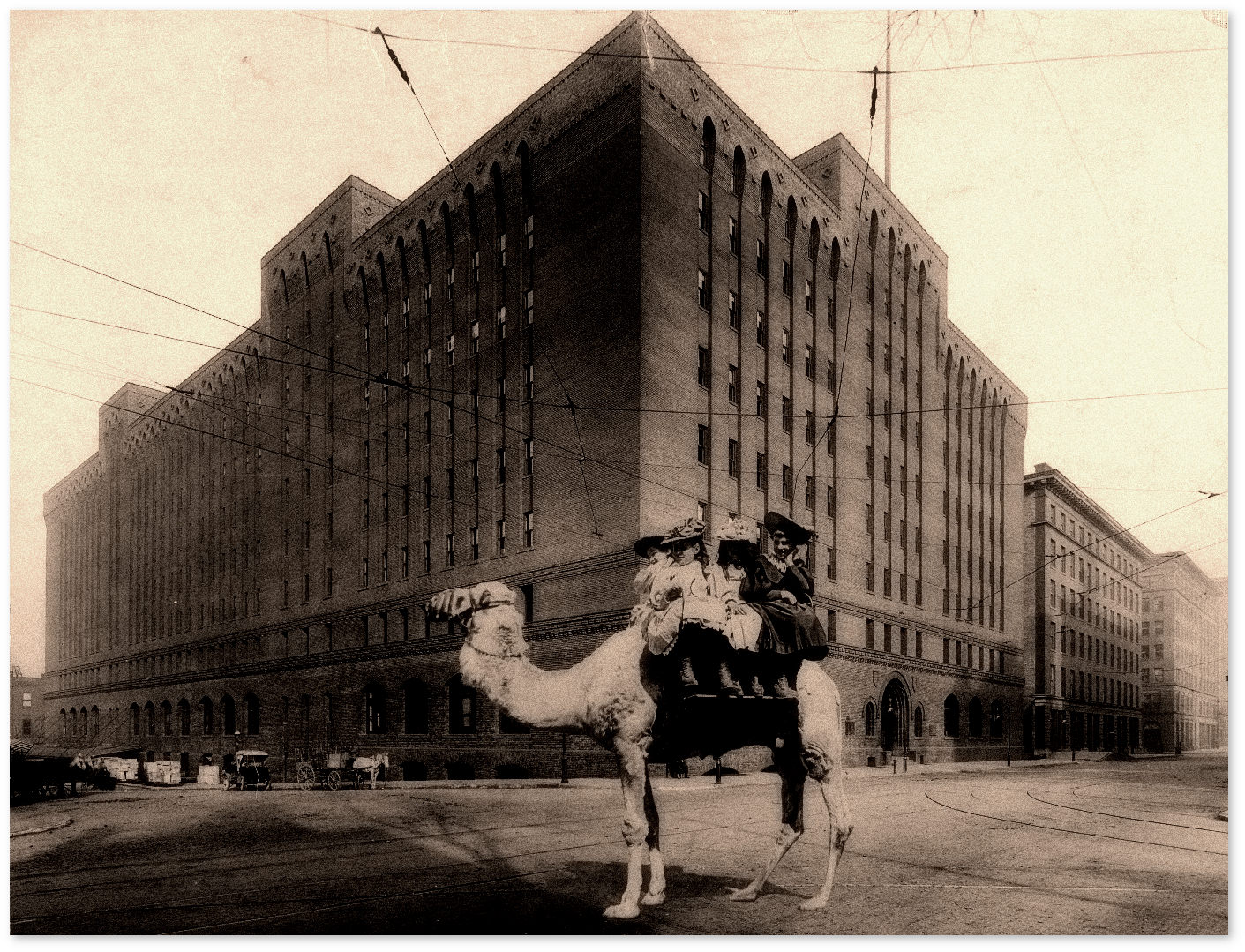 The Butler Brothers Warehouse – Nokohaha