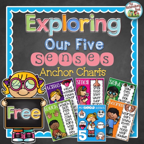 Free Five Senses Anchor Posters – The Notebooking Nook