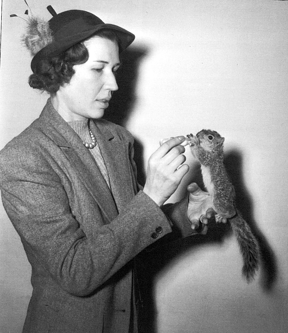 On the trail of Virginia Moe - Wednesday Journal