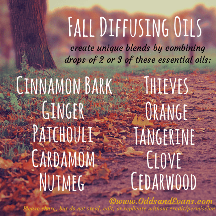 Fall Diffuser Blend Ideas for Essential Oils - Odds & Evans