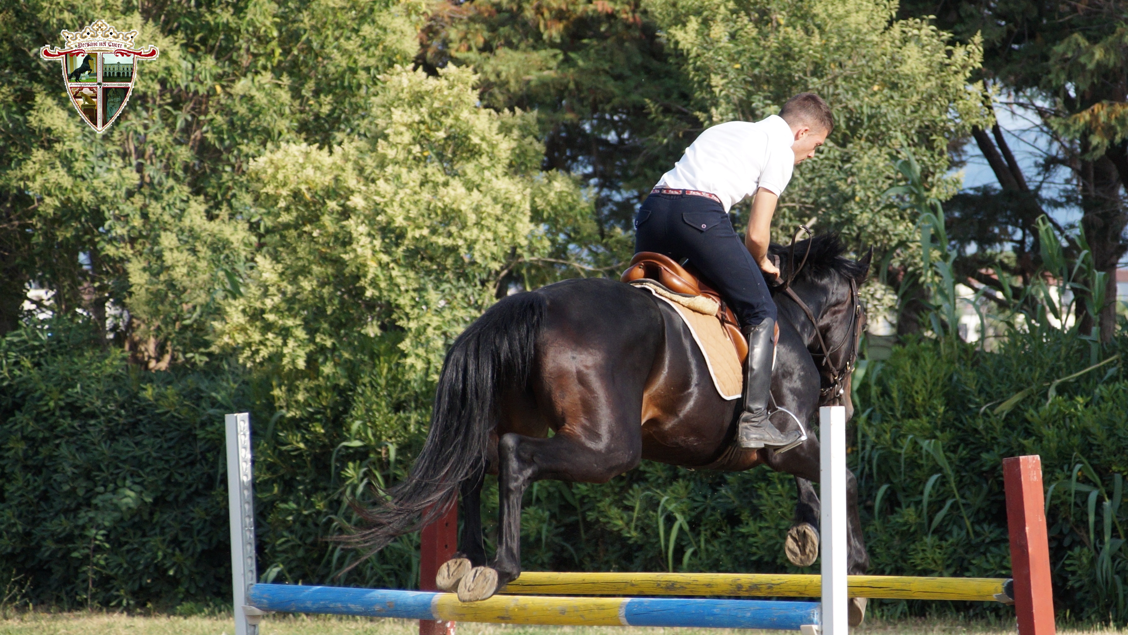 Il Cavallo Persano è tornato a galoppare | Persano nel Cuore