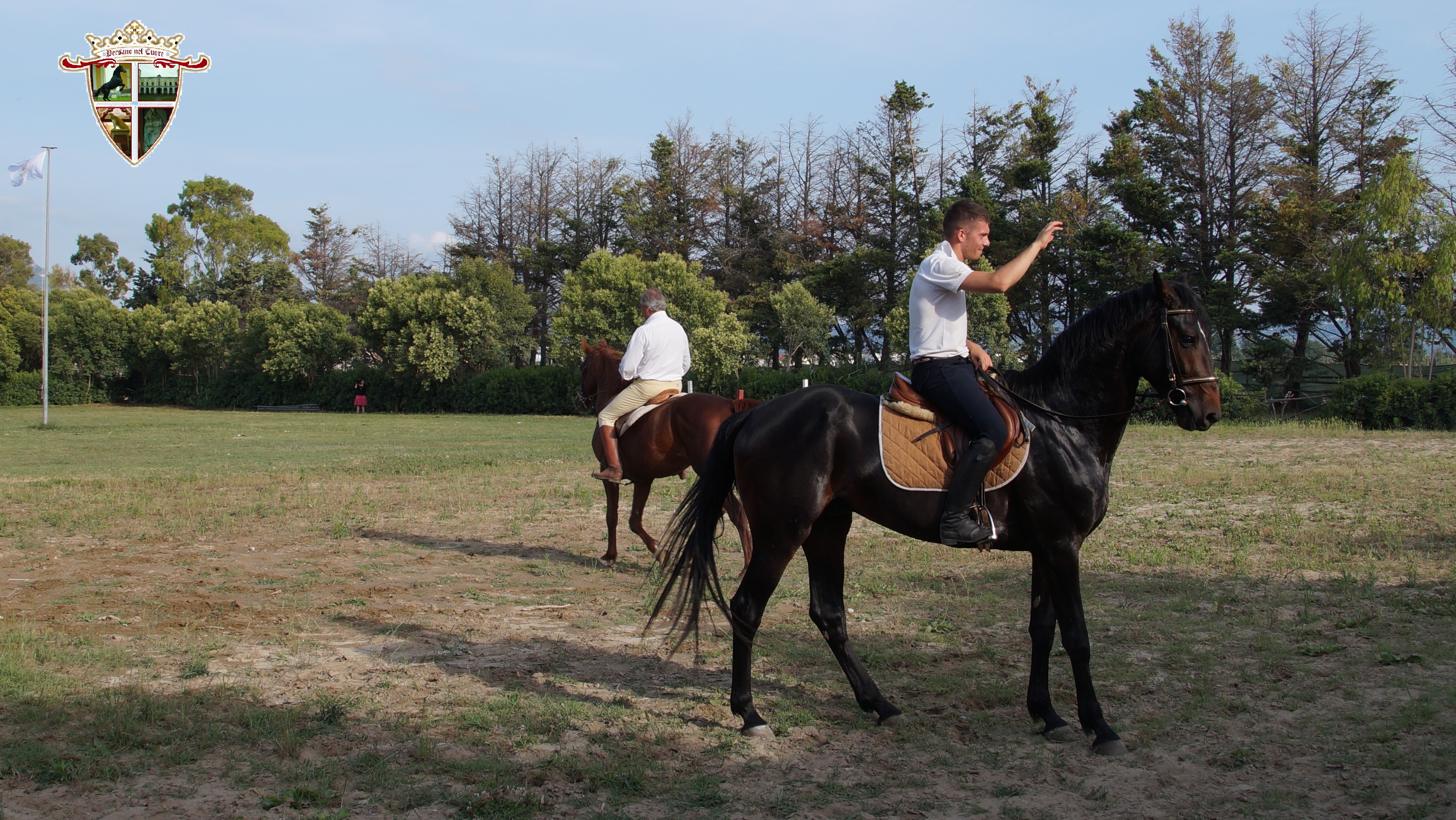 Il Cavallo Persano è tornato a galoppare | Persano nel Cuore