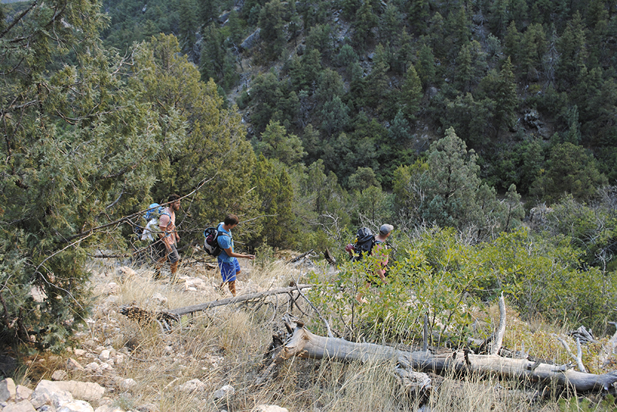 Timidity – Praying With The Eyes