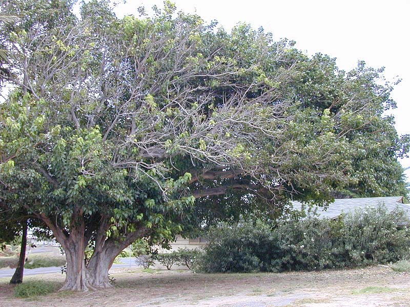 Buddhism: The Way of the Awakened One