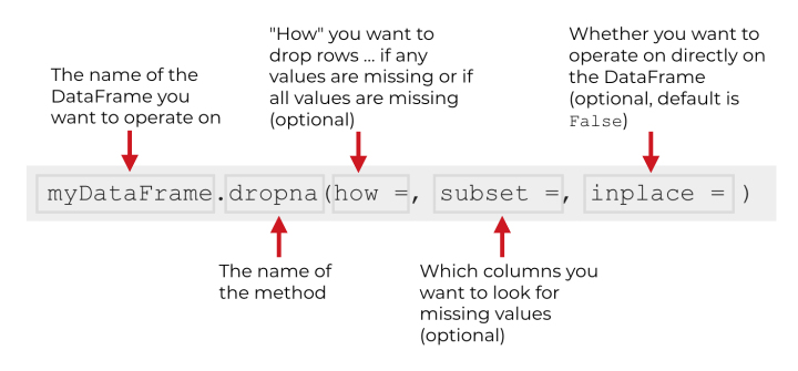 How to use the Pandas dropna method – R-Craft