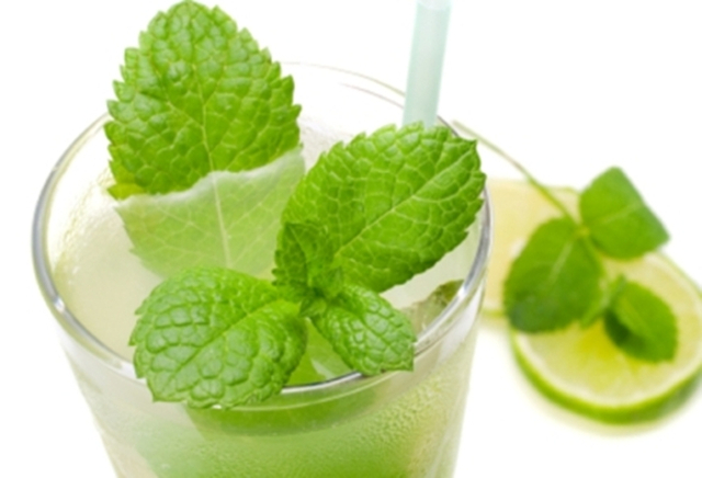 La guía definitiva para tomar Bacacho | Sopitas.com