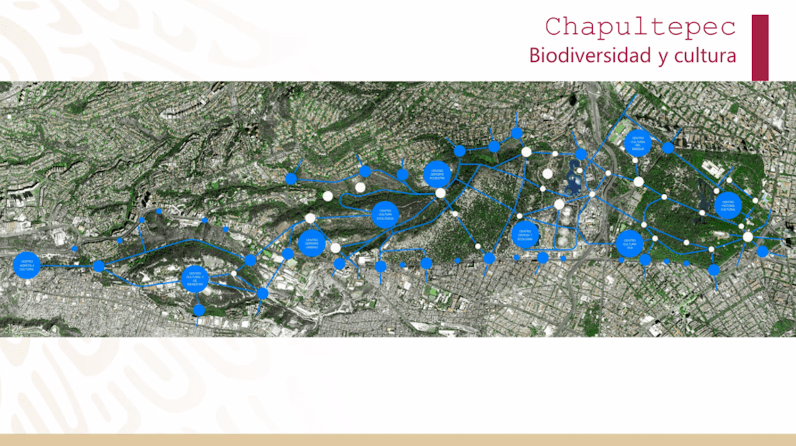 Entre avances y cuestionamientos: El proyecto del Bosque de Chapultepec