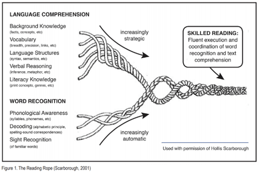 Using the Simple View of Reading to Simplify Your Work – SST 13