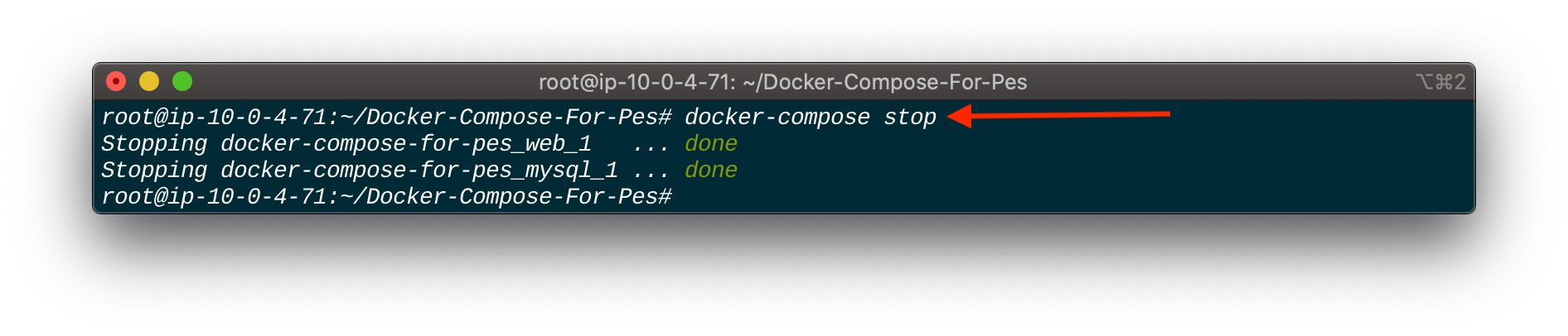 How To Run Multiple Containers With Docker Compose Techcrumble