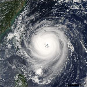 Topan Oh Topan! | Purnomo Sejati