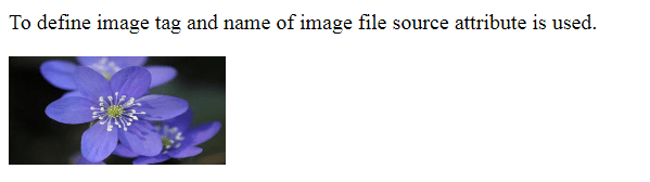 HTML Attributes Tutorial with Examples— TutorialBrain
