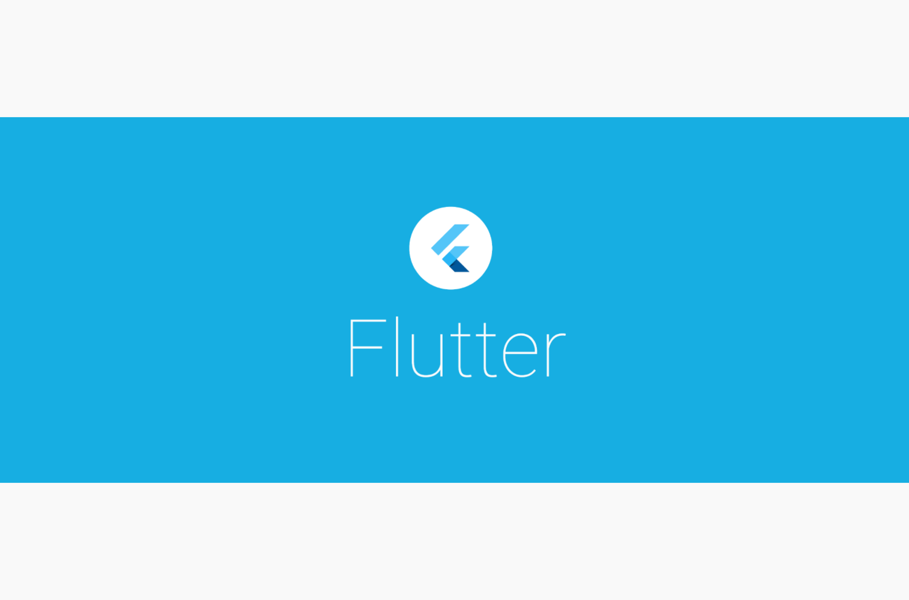 Cara Membuat Input And Selection Pada Flutter Udacoding
