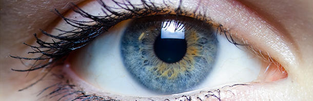 The Human Eye Could See A Candle Flame Flickering Up To 30 Miles Useless Daily Facts Trivia the-human-eye-could-see-a-candle-flame-flickering-up-to-30-miles-useless-daily-facts-trivia