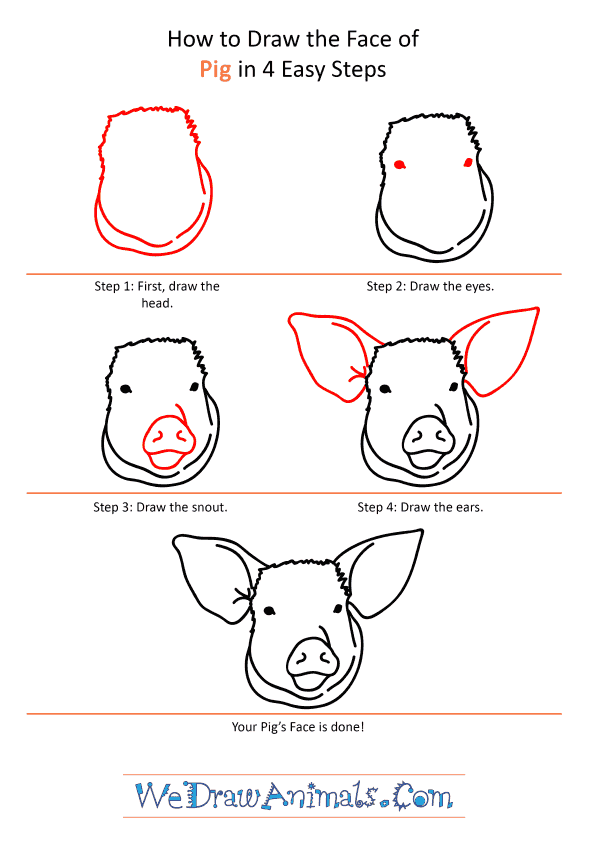 Pig Face Drawing Easy - Pig Clipart Baboy Drawing Of A Pig Face Free ...