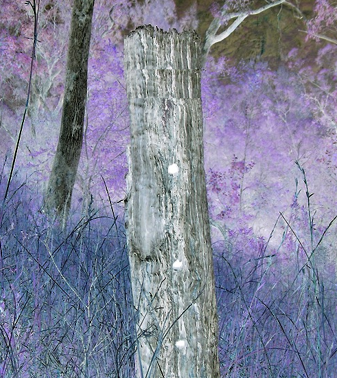 THE CONFESSIONS OF SAINT CHRISTOPHER: WEREWOLF Chapter 9 | Werewolves