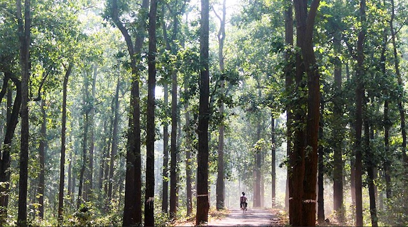 hasdev arand Forest – Workers Unity