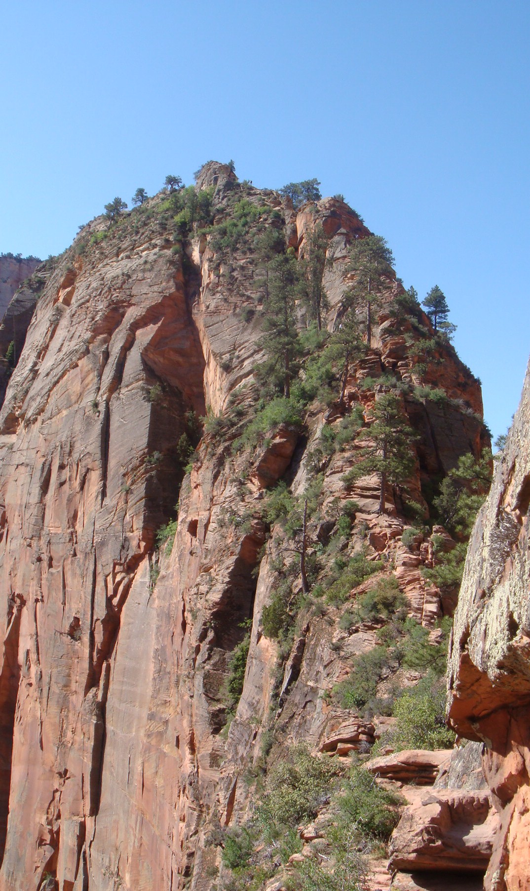 Angels Landing - Your Hike Guide
