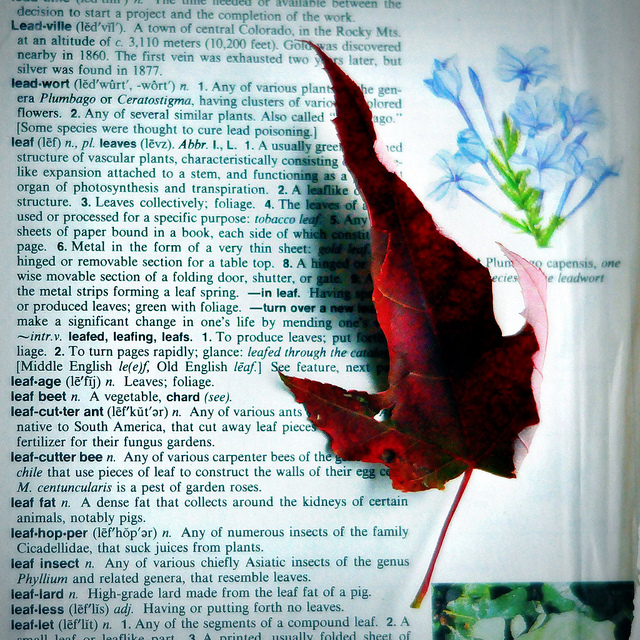 yeah write #42 winners - YeahWrite