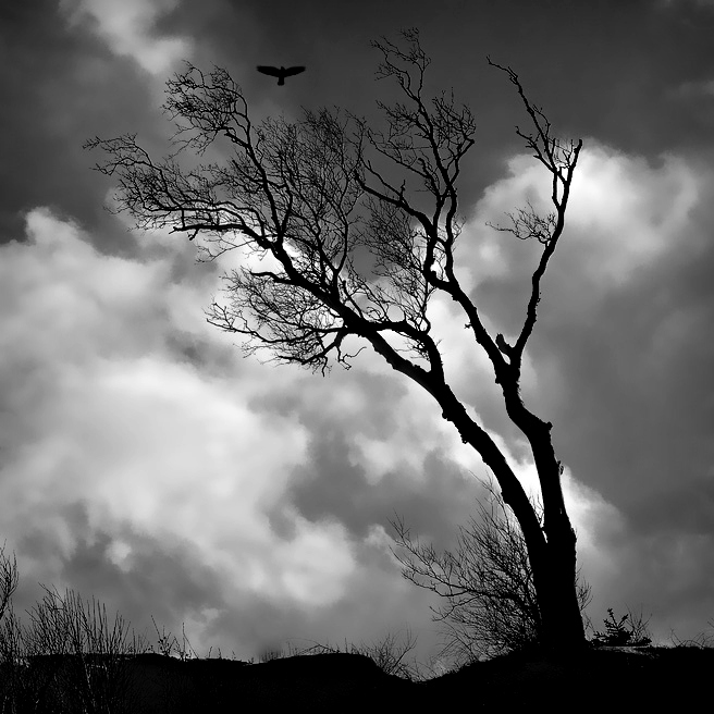 yeah write #80: badges, optional supernatural prompt and $100 Amazon gift card challenge ...